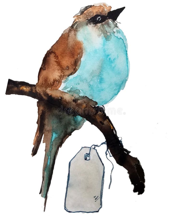 Robin stock illustration. Illustration of paints, drawn - 100772005