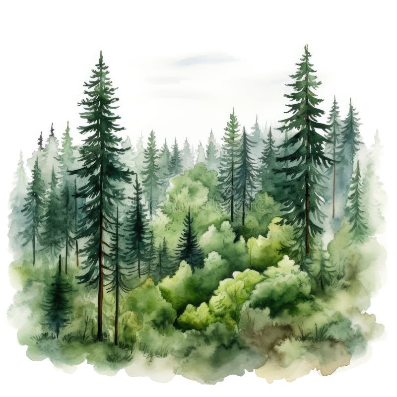 Boreal forest stock illustration. Illustration of landscape - 328672040