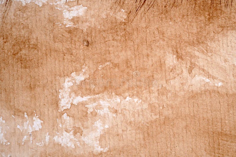 Wet cardboard texture stock photo. Image of painting - 116258080