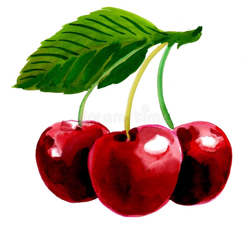 Three cherries stock illustration. Illustration of painting - 266075623