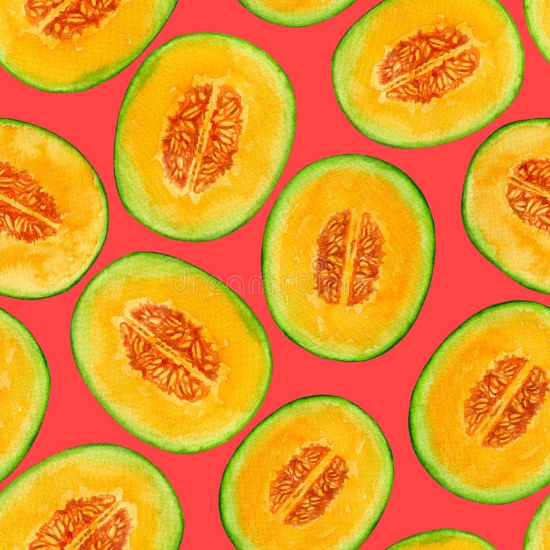Melon Slices Watercolor Pattern Stock Photo - Image of pattern, food ...