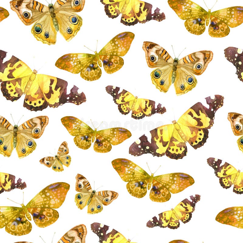 Watercolor Pattern with the Image of Transparent Butterflies in ...