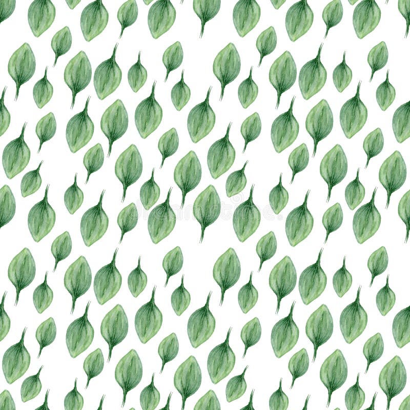Watercolor Pattern with Leaves, Seamless Natural Green Background on ...