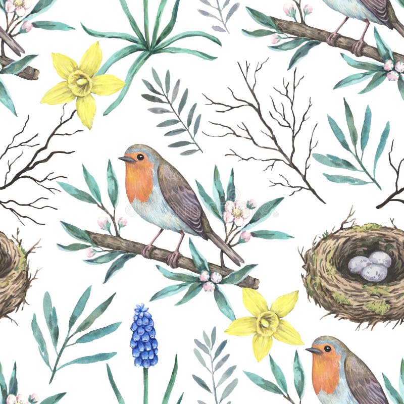 Watercolor Pattern with Robin Birds on Blooming Branches and Nest ...