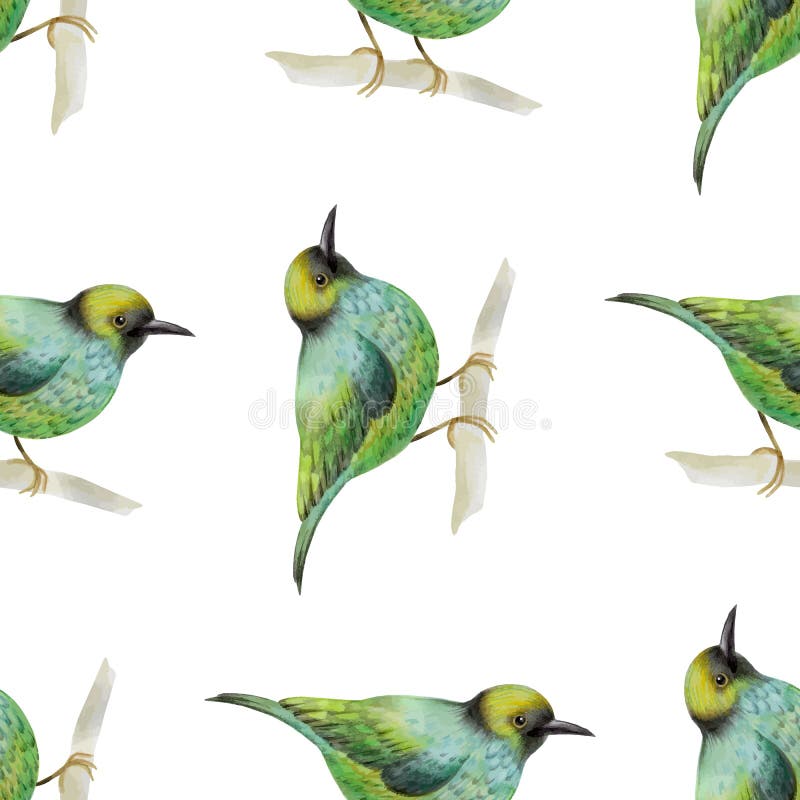 Watercolor pattern stock vector. Illustration of sketch - 56297480