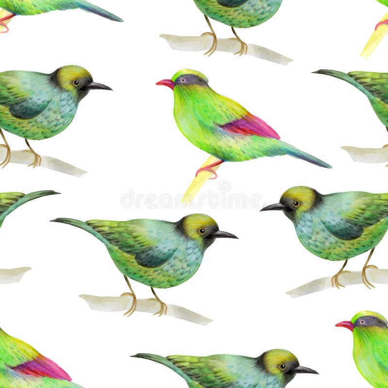 Watercolor pattern stock vector. Illustration of vector - 56530245