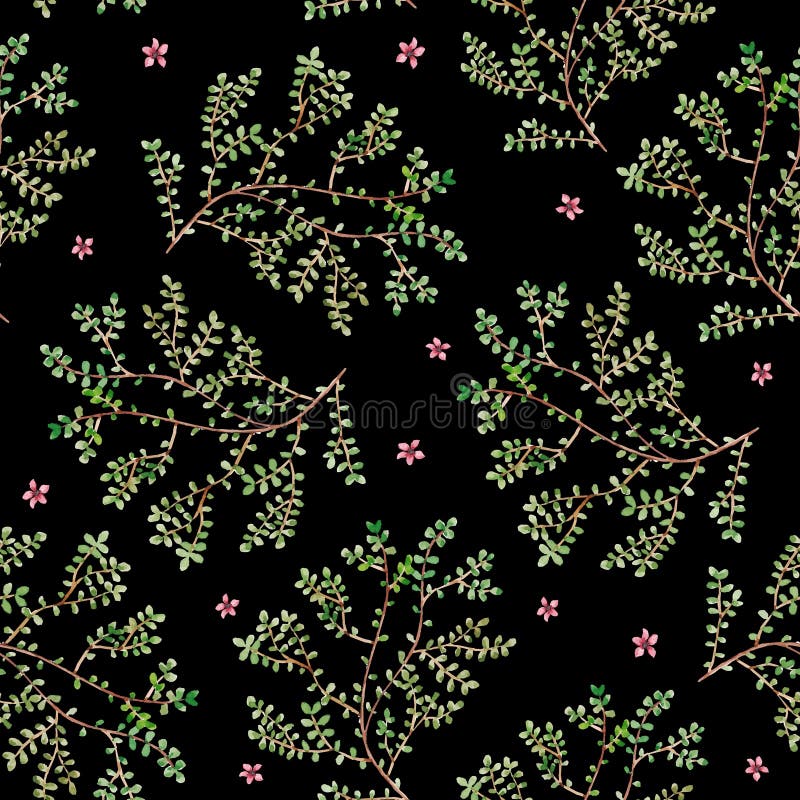 Watercolor Pattern. Seamless Floral Texture with Branches, Flower Buds ...