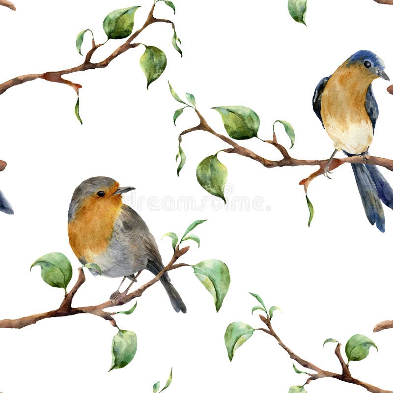 Watercolor Robin Sitting on Tree Branch with Leaves. Hand Painted ...