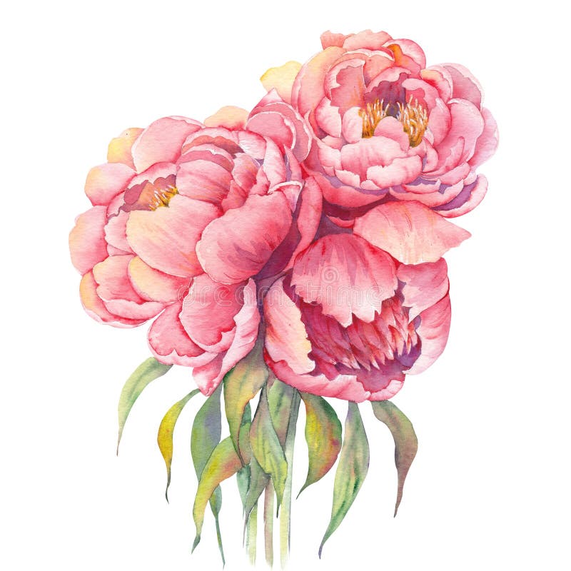 Peony Bouquet Vector Coloring Book Page For Adults Hand Drawn