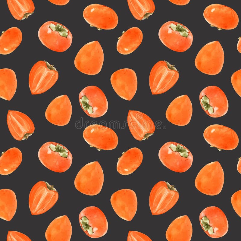 Watercolor Persimmon Vector Pattern Stock Vector - Illustration of ...