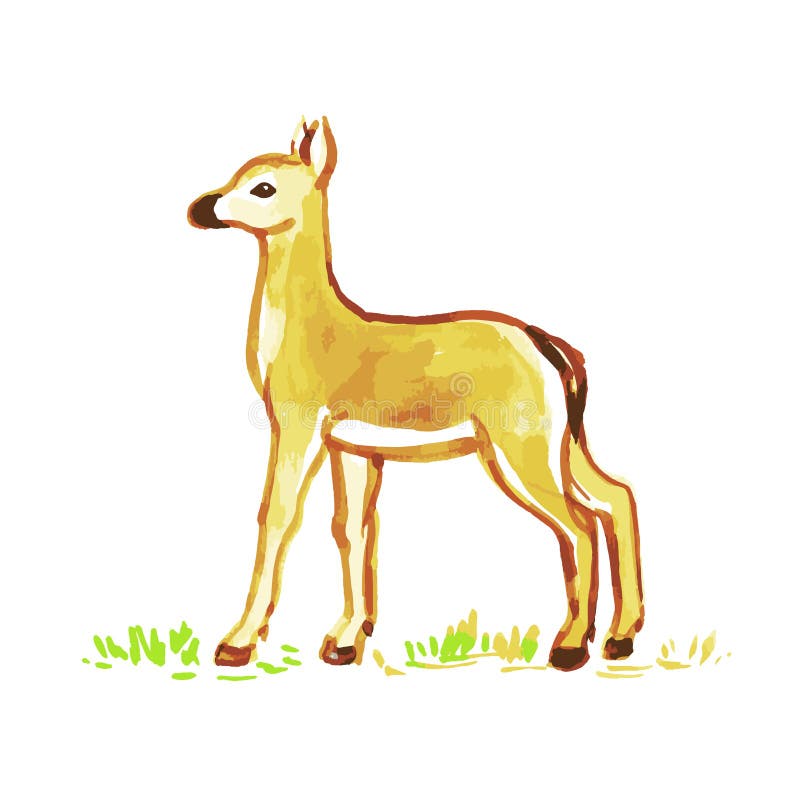 The Watercolor Picture Doe. Stock Vector - Illustration of vector ...