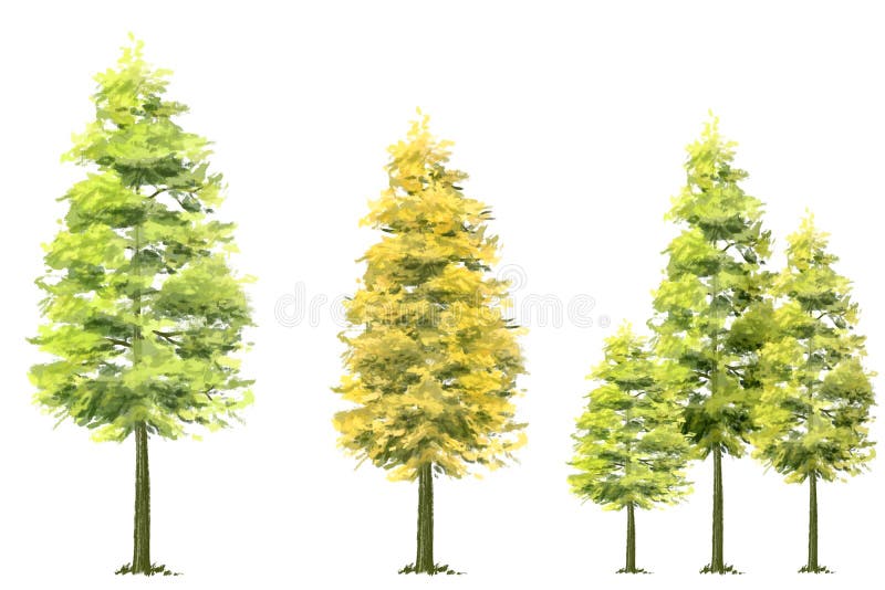 Watercolor Pine Tree Side View for Landscape Stock Image - Image of ...