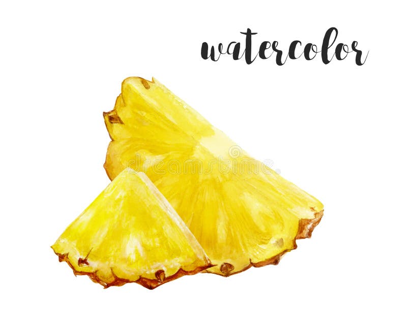 Watercolor Pineapple Illustration Featuring Sliced Pineapple on White Background Stock Image ...