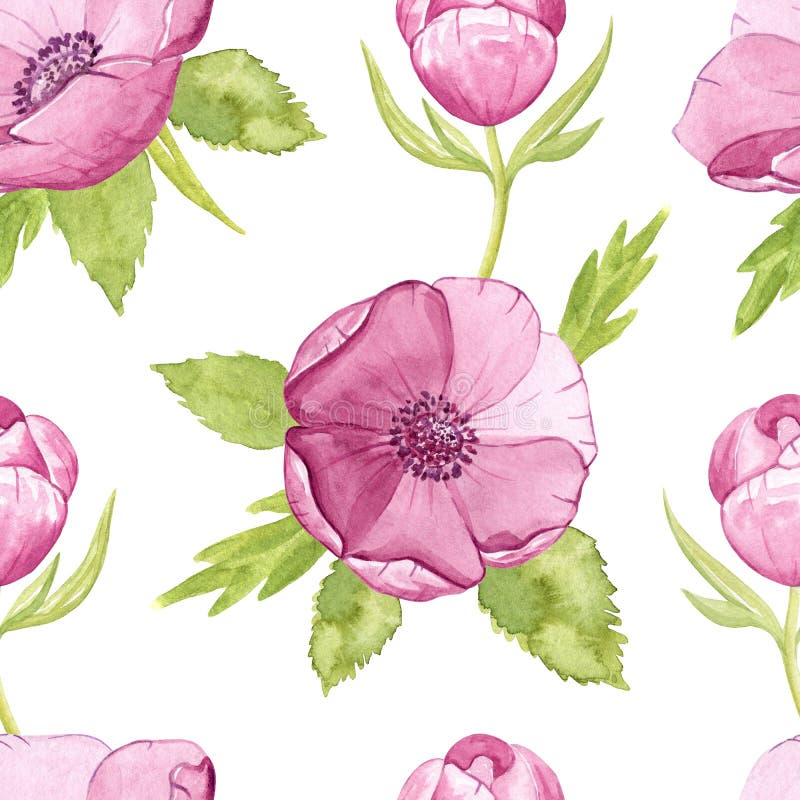 Watercolor Pink Anemones Seamless Pattern On White Background Flower