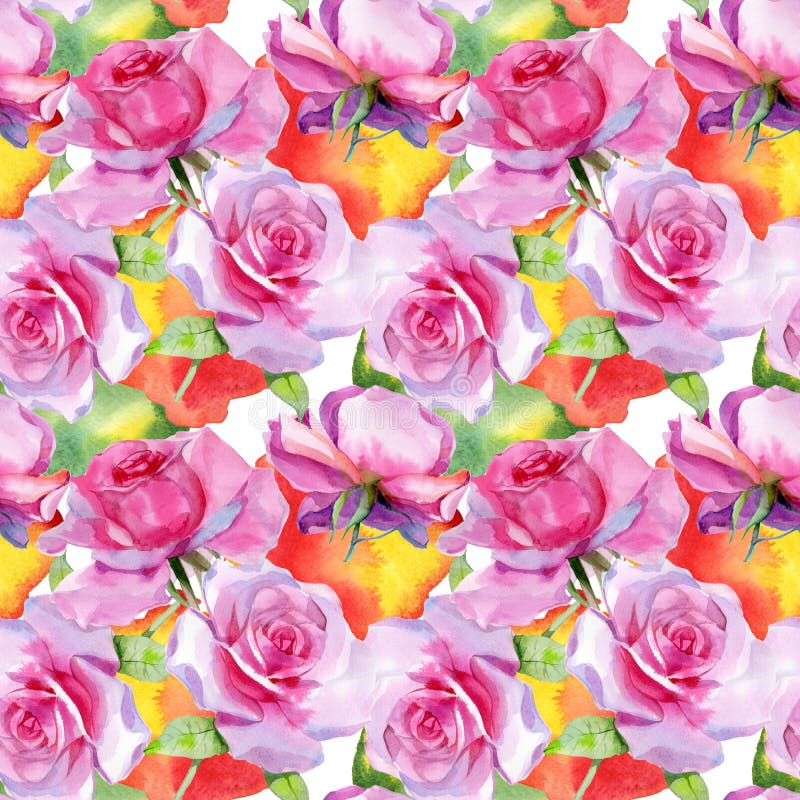 Watercolor Pink Rose Seamless Pattern Spring Print Stock Illustration ...