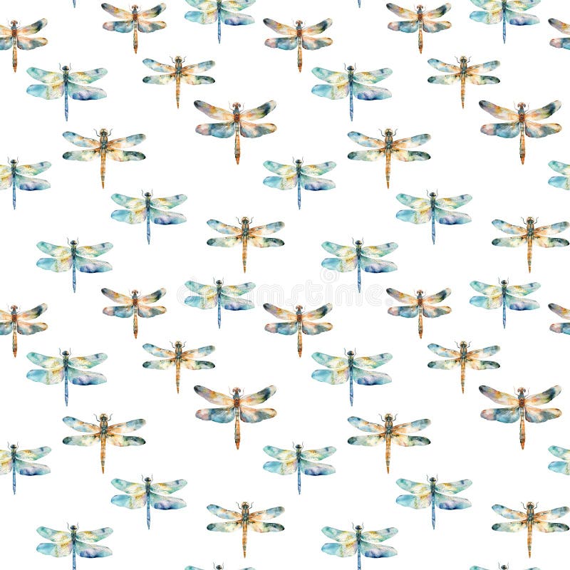 Watercolor Png Dragonflies Seamless Pattern Stock Illustration ...