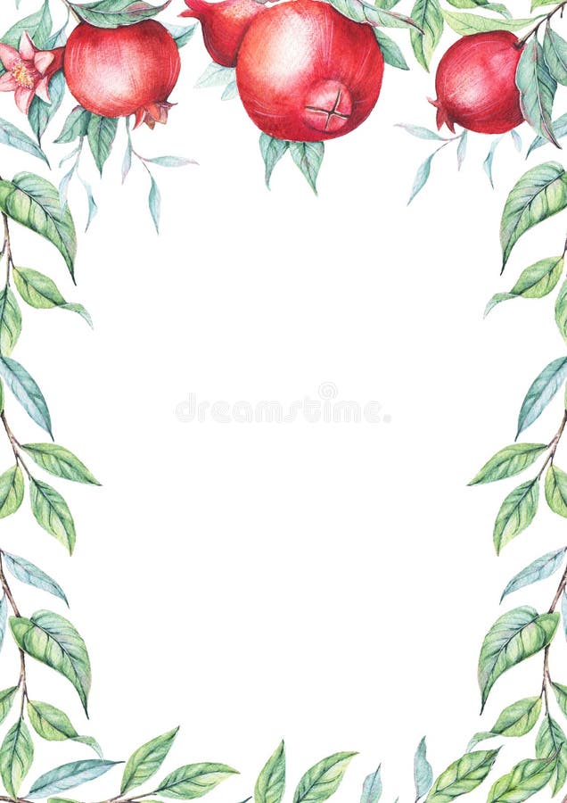 Pomegranate Border Stock Illustrations – 1,216 Pomegranate Border Stock ...