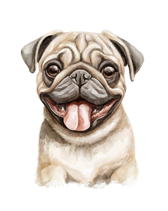 Watercolor Portrait of Smiling Black and White Shorthaired French ... Watercolor Portrait of Smiling Black and White Shorthaired French ...