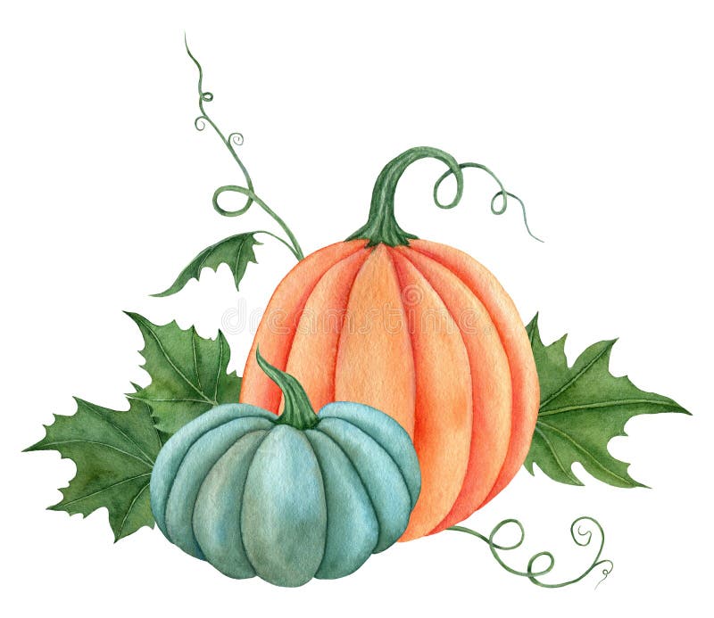 Watercolor Pumpkins with Leaves, Fall Illustration. Vegetable ...