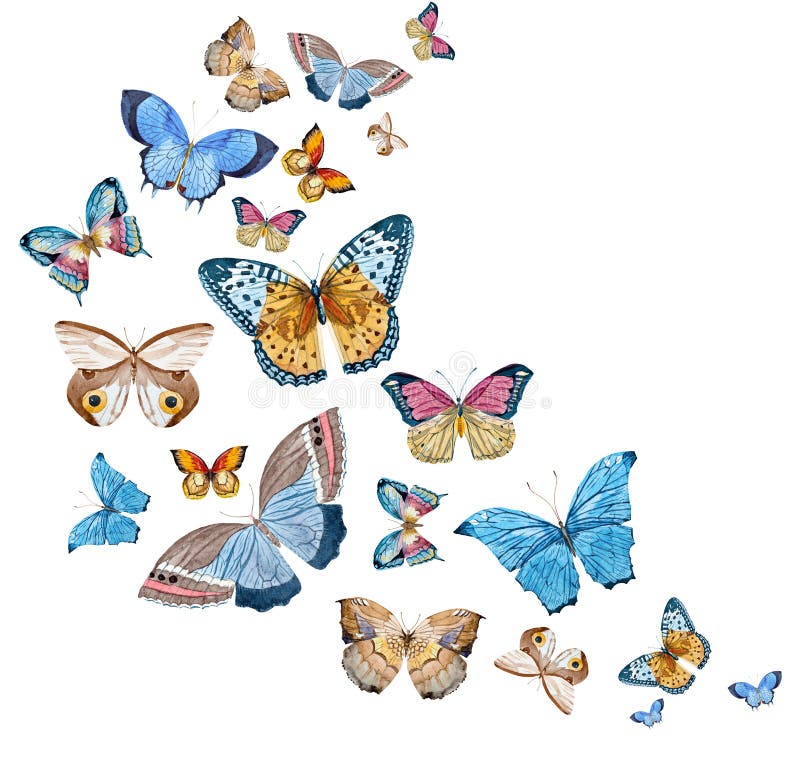Watercolor Raster Butterflies Stock Illustration - Illustration of ...
