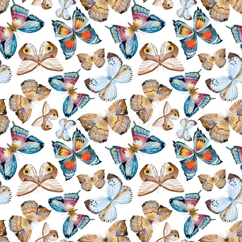 Watercolor Butterfly Pattern Raster Stock Illustrations – 146 ...