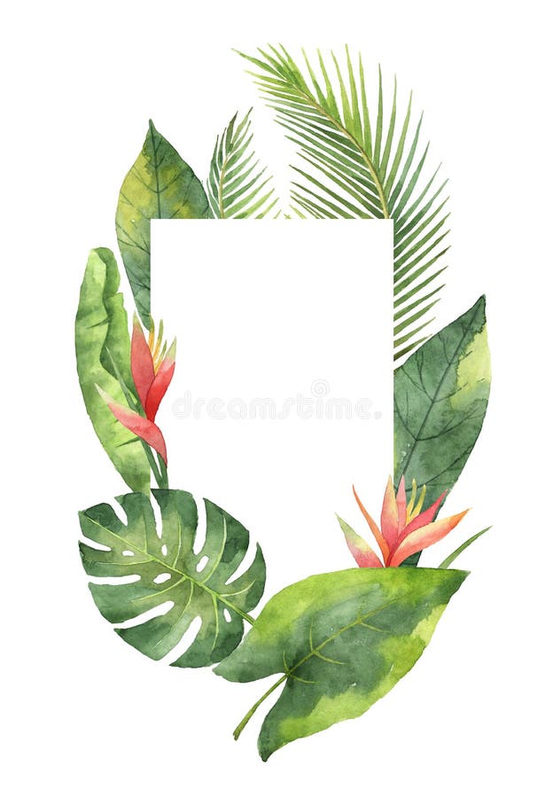 Watercolor Rectangular Frame Tropical Leaves and Branches Isolated on ...