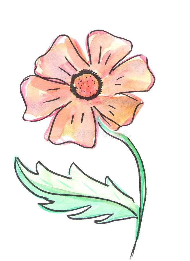 Watercolor Red Flower with One Green Leaf without Background Stock ...