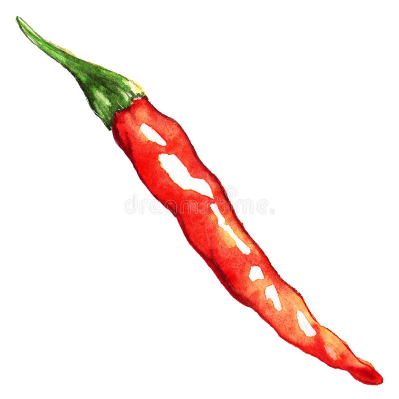 Watercolor Red Hot Chili Chilli Spicy Pepper Stock Illustration ...