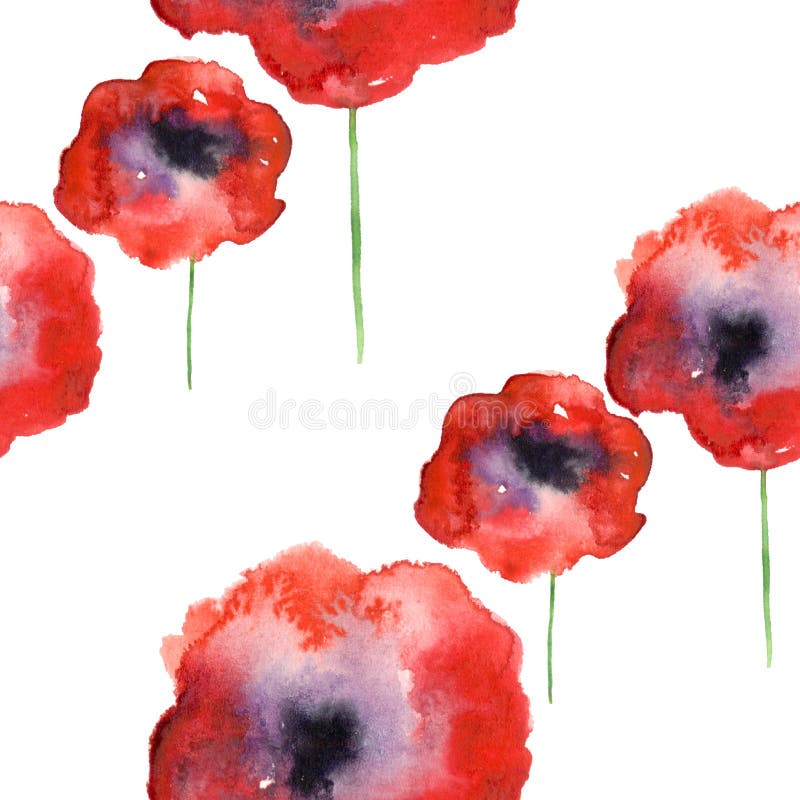 Watercolor Red Poppy Watercolor Vintage Seamless Pattern With Drawing