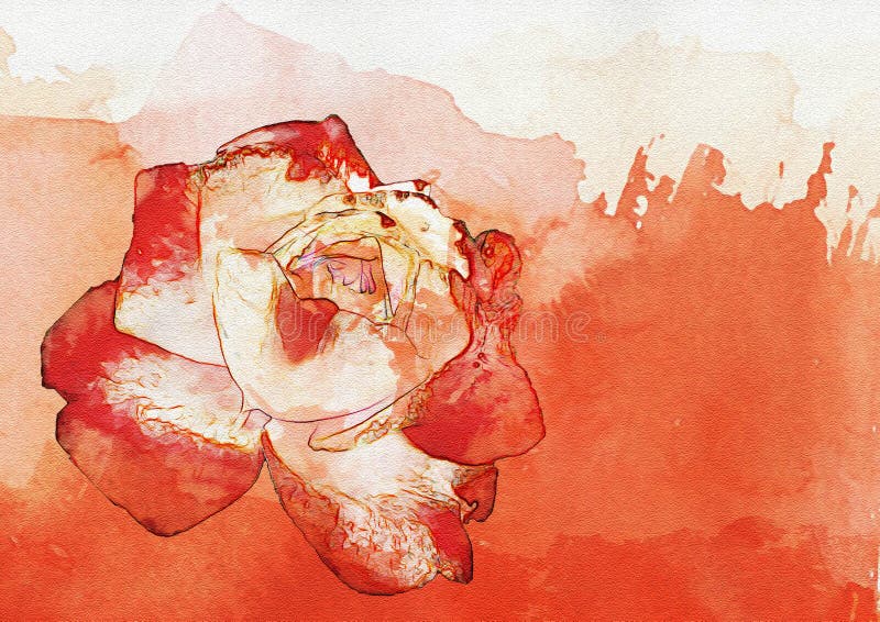 Watercolor Red Rose Abstract Background Stock Illustration ...
