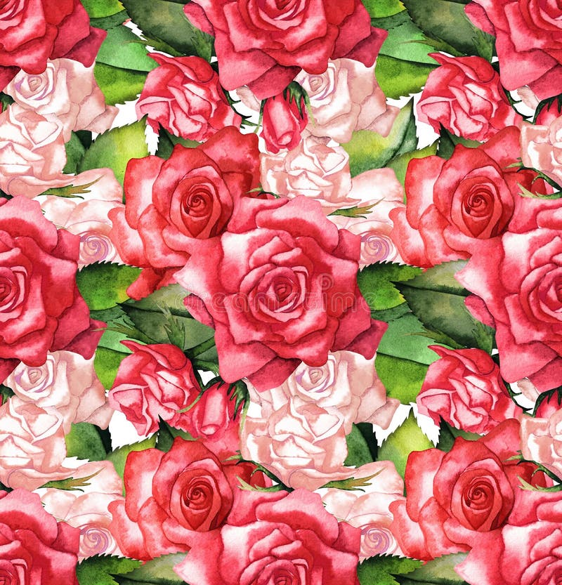 Watercolor Red Roses Pattern Stock Illustration - Illustration of ...