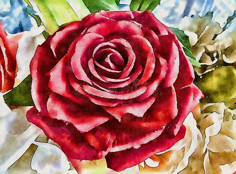 Beautiful Ref Flower Stock Photos - Free & Royalty-Free Stock Photos ...