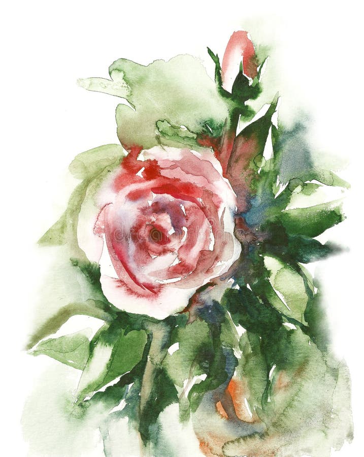 Red Rose Watercolor Painting Stock Illustration - Illustration of ...