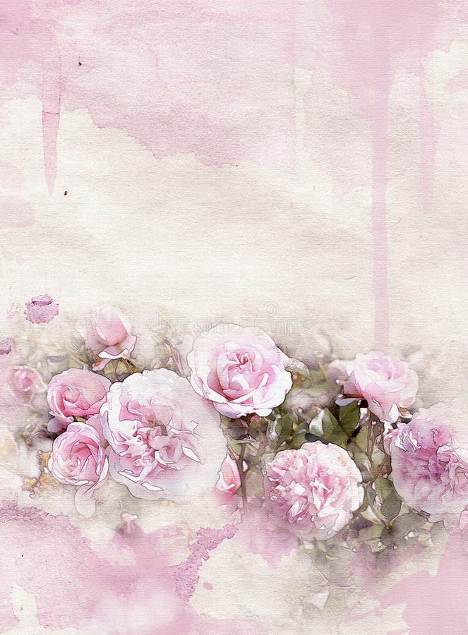 Watercolor rose background stock illustration. Illustration of card ...