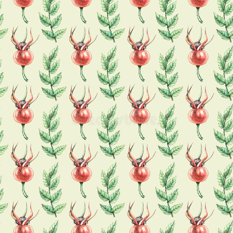 Watercolor Rosehip Pattern for Creating Textiles Stock Illustration ...