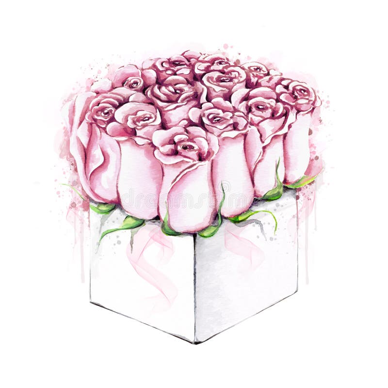 Watercolor Roses in Package Stock Illustration - Illustration of bloom ...