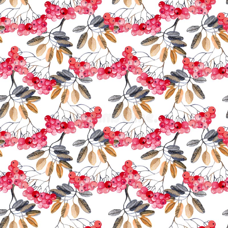 Watercolor Rowan Branches Wreath, Frame Border Stock Illustration ...