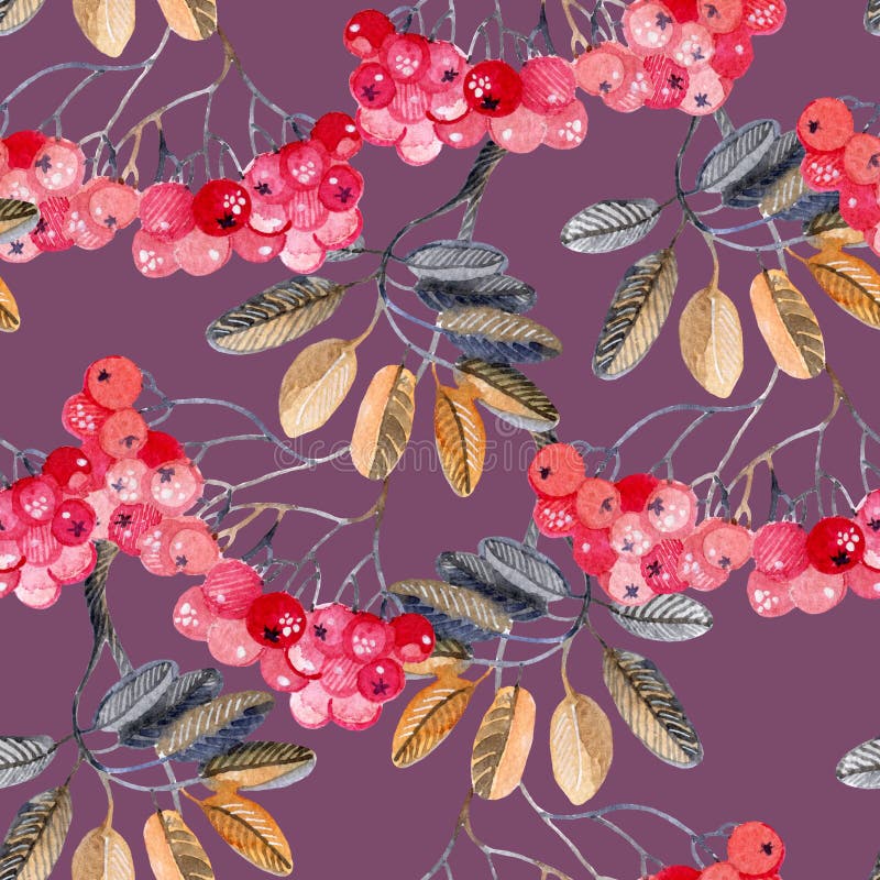 Watercolor Rowan Branches Wreath, Frame Border Stock Illustration ...