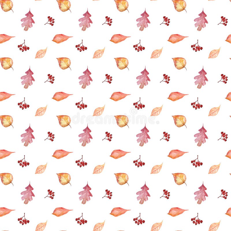 Watercolor Seamless Autumn Pattern with Fall Leaves on White Background ...