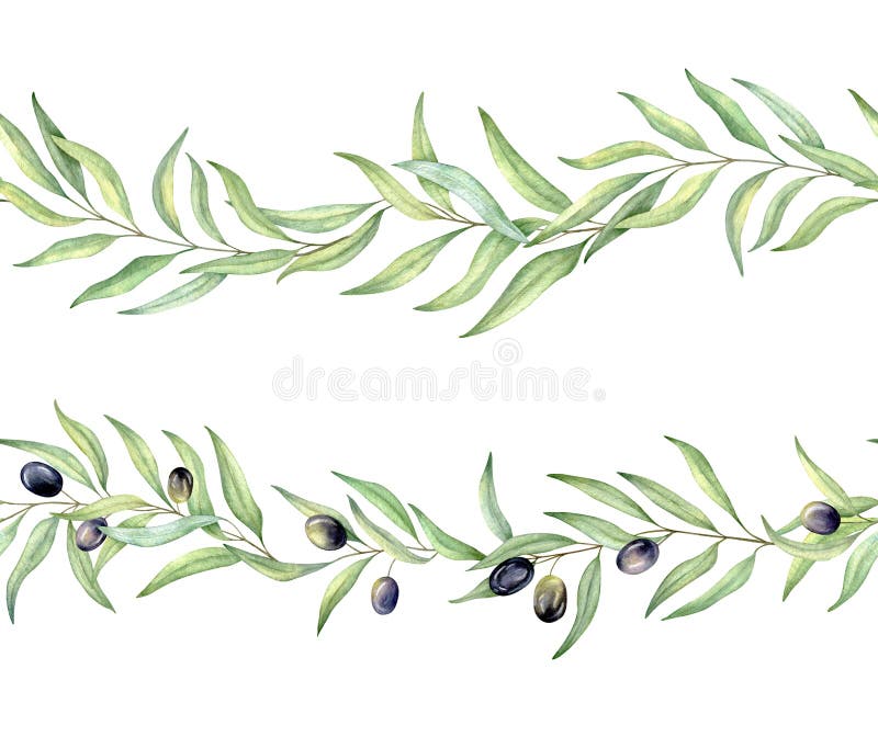 Watercolor Seamless Border with Black Olive, Branch and Leaves. Stock ... Watercolor Seamless Border with Black Olive, Branch and Leaves. Stock ...