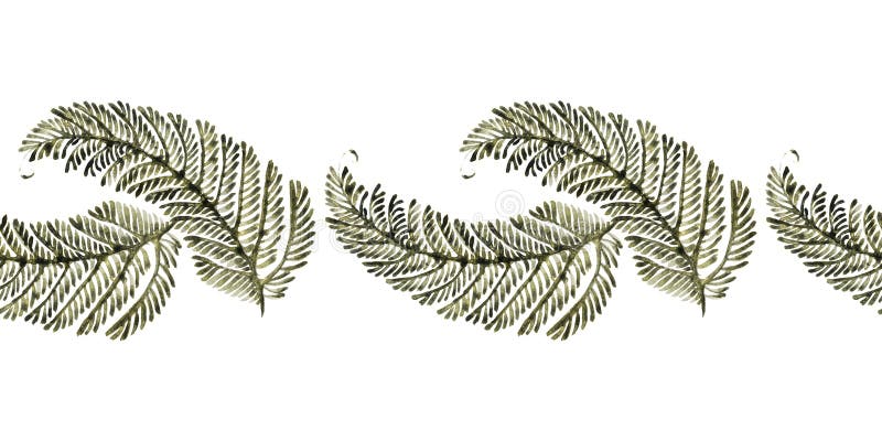 Watercolor Seamless Border with Stylized Fern Leaves Stock Illustration ...