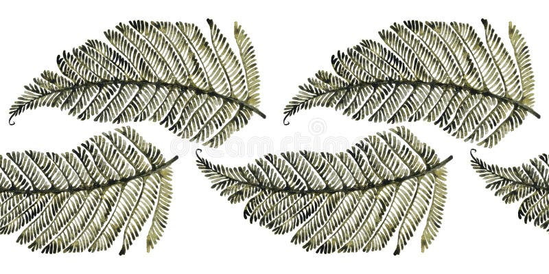 Watercolor Seamless Border with Stylized Fern Leaves Stock Illustration ...