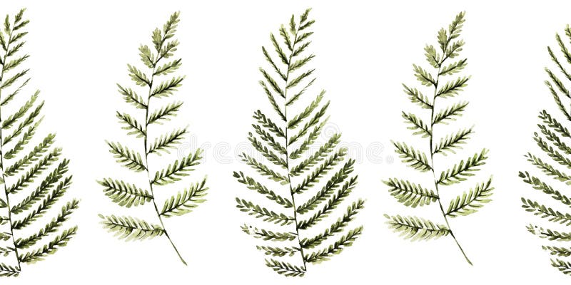 Watercolor Seamless Border with Stylized Fern Leaves Stock Illustration ...