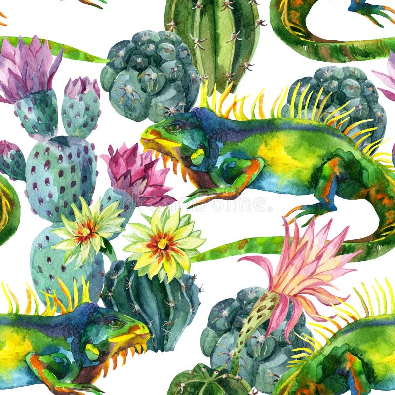 Watercolor Seamless Cactus Pattern Stock Illustration - Illustration of ...
