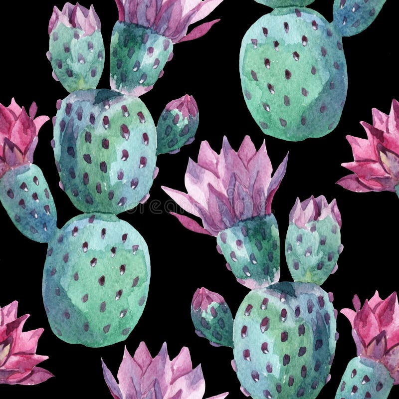 Watercolor Seamless Cactus Pattern Stock Illustration - Illustration of ...