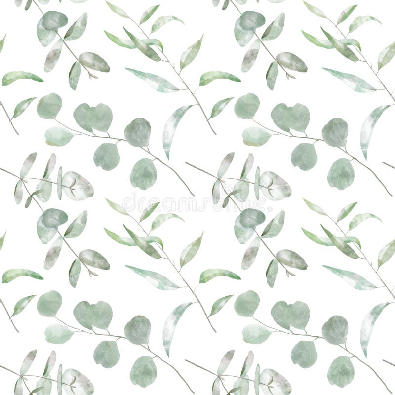 Watercolor Seamless Eucalyptus Pattern Stock Image - Image of botany ...