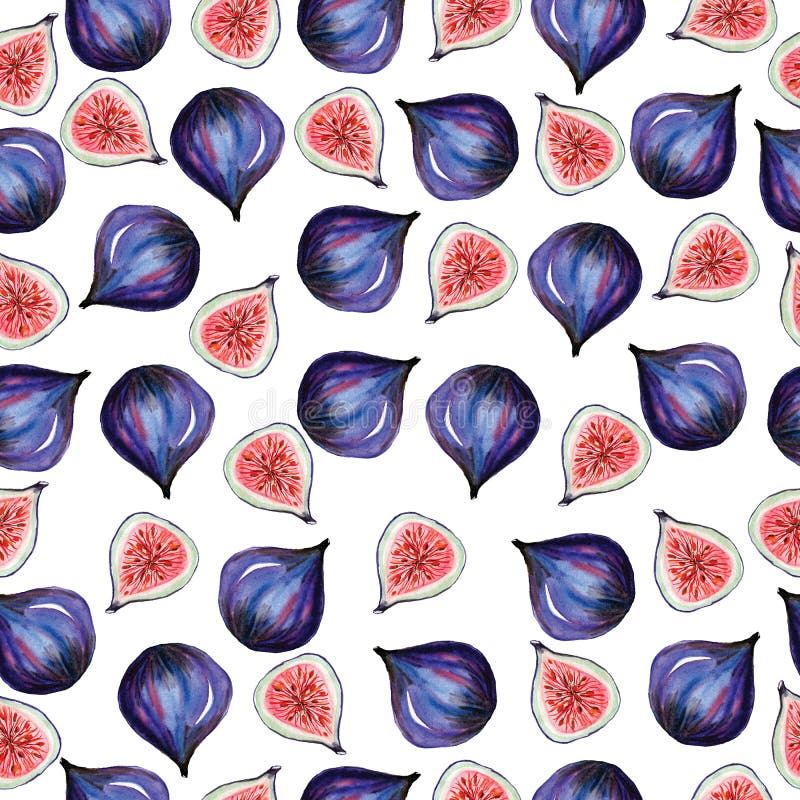 Fig Elements Stock Illustrations – 664 Fig Elements Stock Illustrations ...