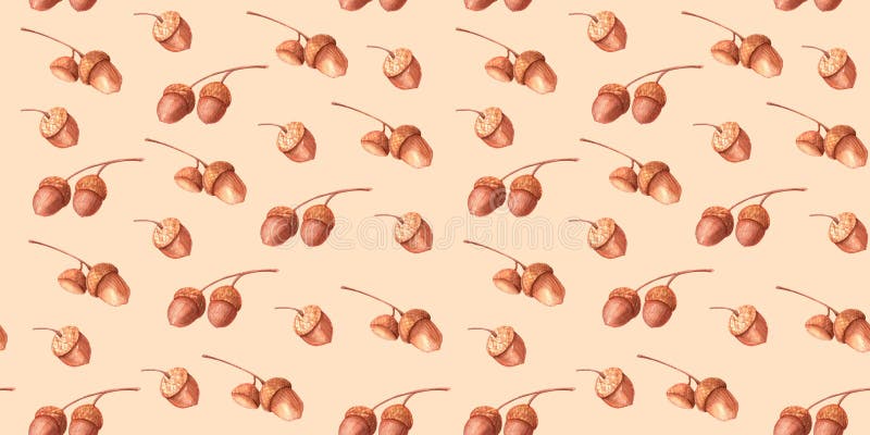 Watercolor Seamless Pattern with Acorn. Stock Illustration ...