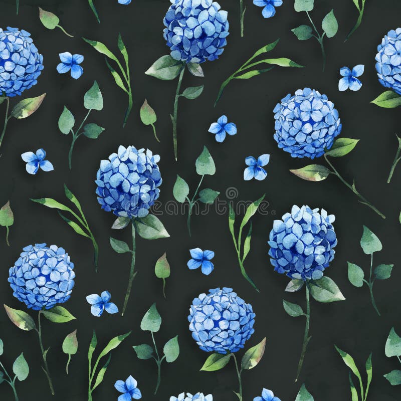 Watercolor Seamless Pattern. Blue Hydrangea with Leaves on Dark ...