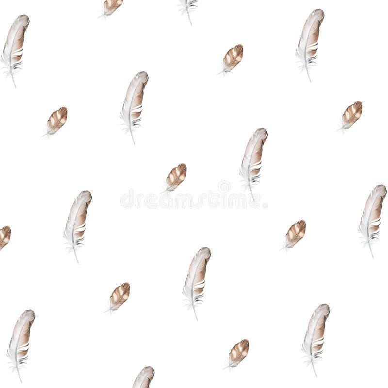 Watercolor Seamless Pattern with Brown Feathers on White Background ...
